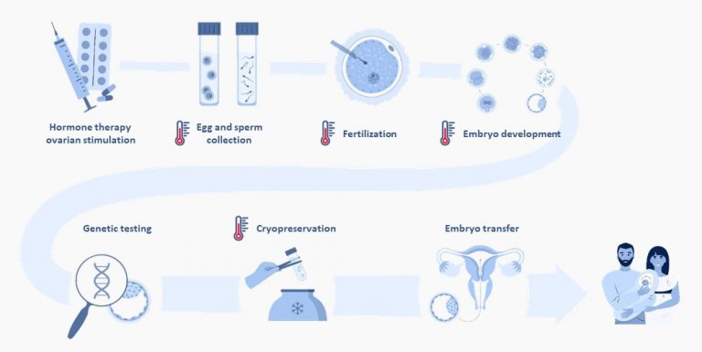 VeroxLabs | Digital Thermometer | High Accuracy 0.03C | IVF