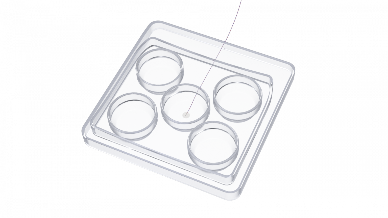 VeroxLabs | Digital Thermometer | High Accuracy 0.03C | IVF