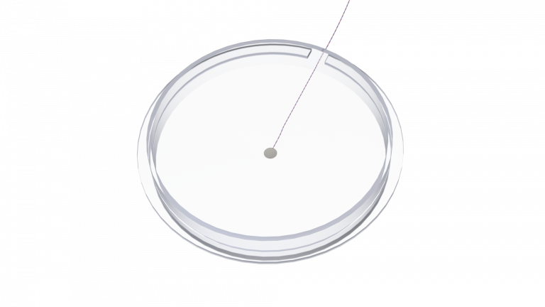 VeroxLabs | Digital Thermometer | High Accuracy 0.03C | IVF