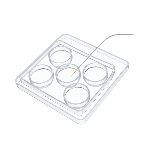 VeroxLabs | Digital Thermometer | High Accuracy 0.03C | IVF