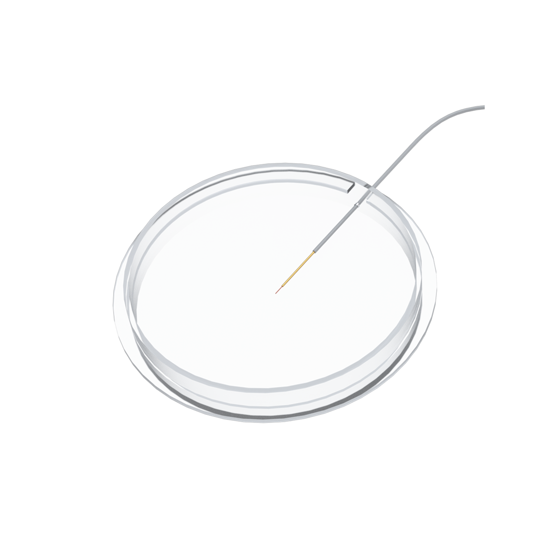 VeroxLabs | Digital Thermometer | High Accuracy 0.03C | IVF